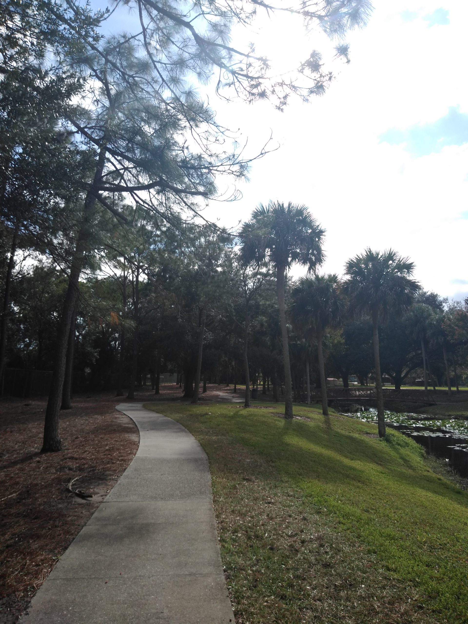 Exploring the World With Pokemon Go: Demetree Park