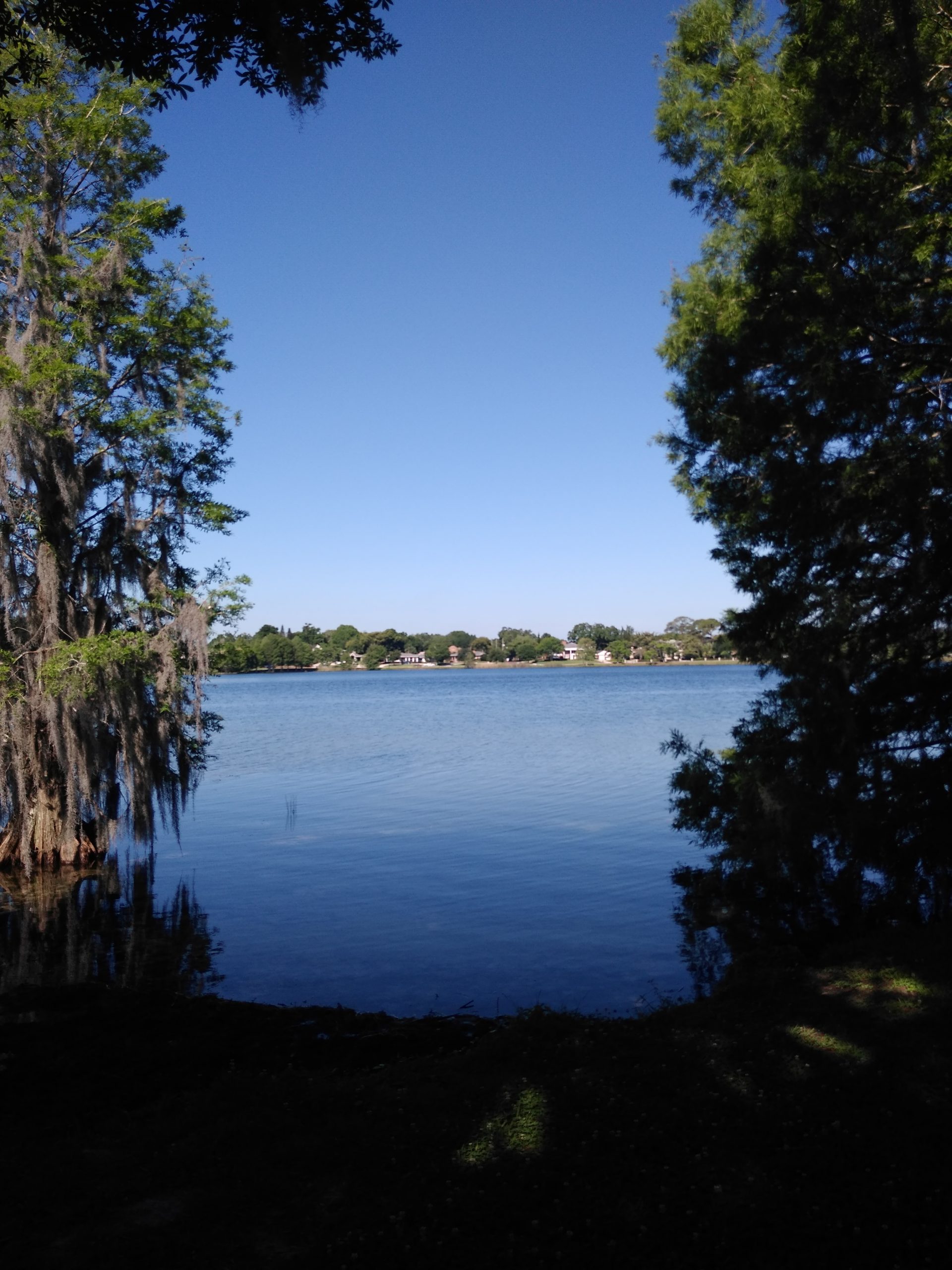 Exploring the World With Pokemon Go: Lake Ivanhoe Park